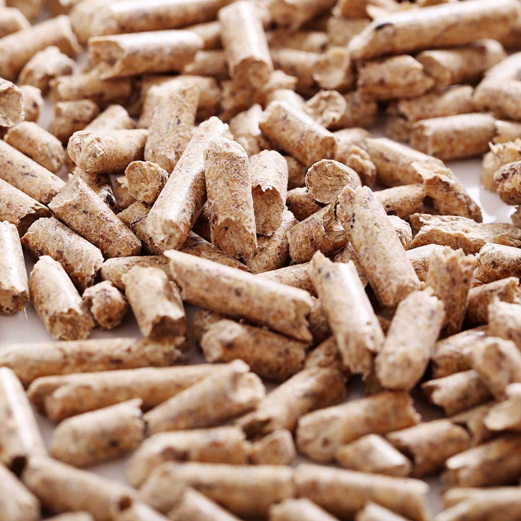 Conclusa la revisione di ENplus • Advance Easy Moving